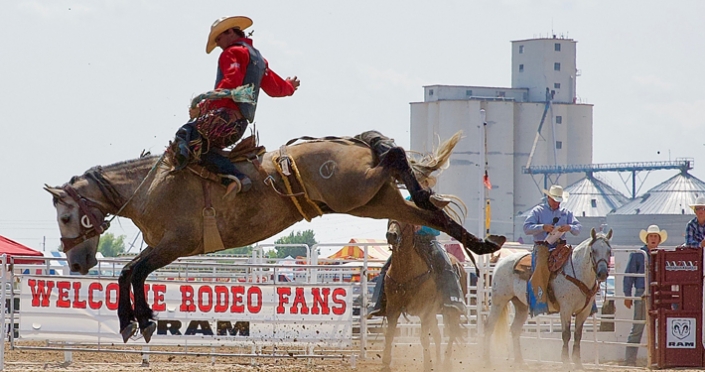 County Fair - Yuma County